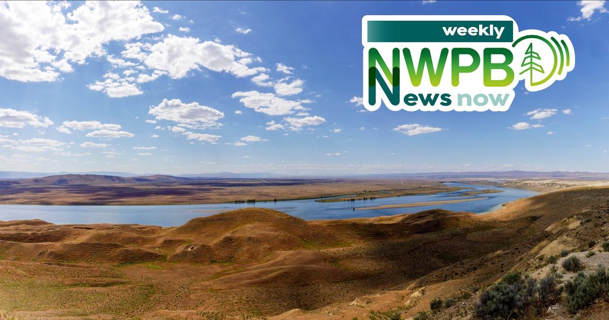 NWPB Weekly News Now | March 29, 2024 | PBS