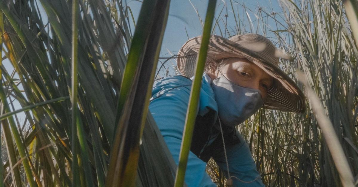 Human Elements | The water between land and sea | Season 2 | PBS