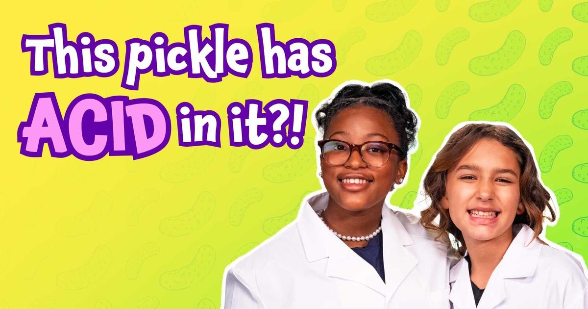 Mini Fab Science Lab | PBS