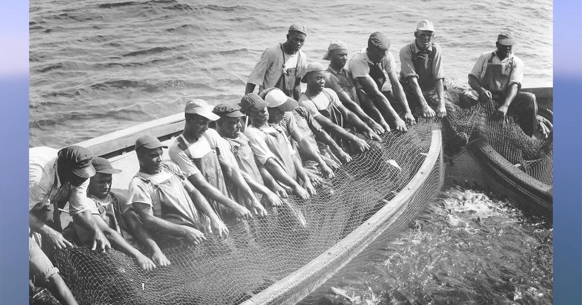 WHRO Education | African American History: Black Watermen | PBS