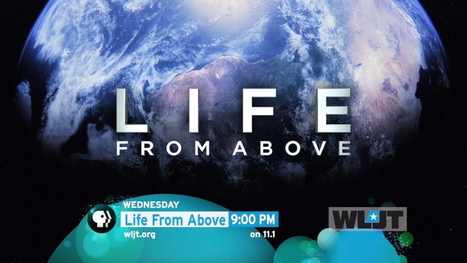 Country Music | WLJT-DT | PBS