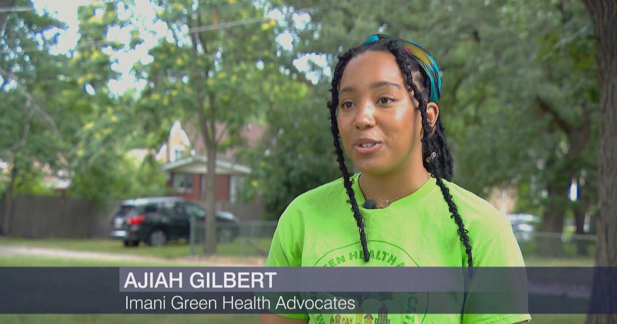 Chicago Tonight: Black Voices | Imani Green Health Advocates Connect ...