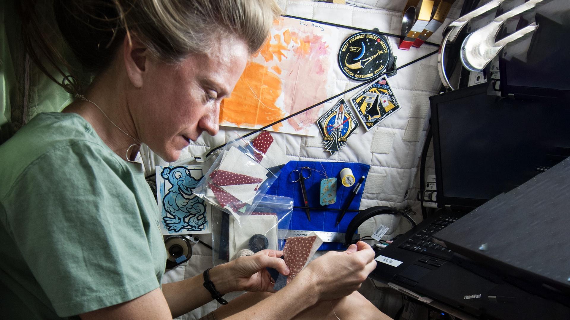 Astronaut turns space photographs into quilts | Craft in America ...