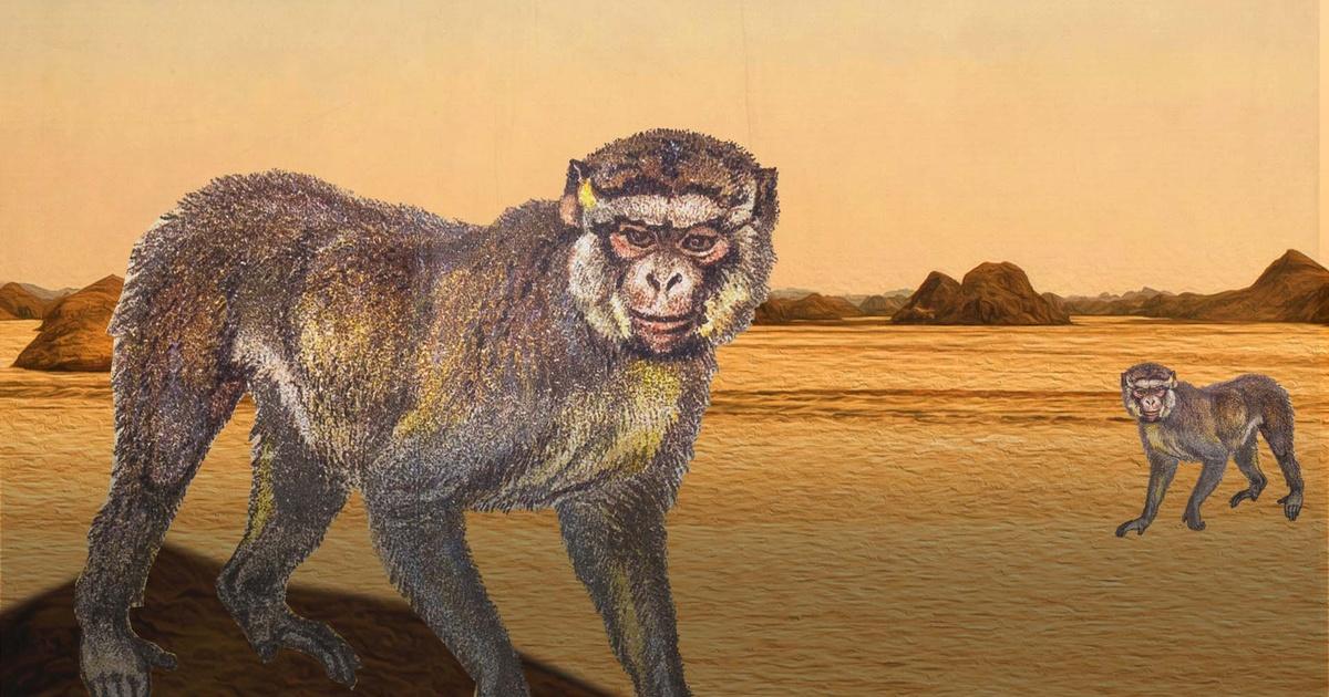 Eons Podcast | Could You Survive The Messinian Salinity Crisis ...