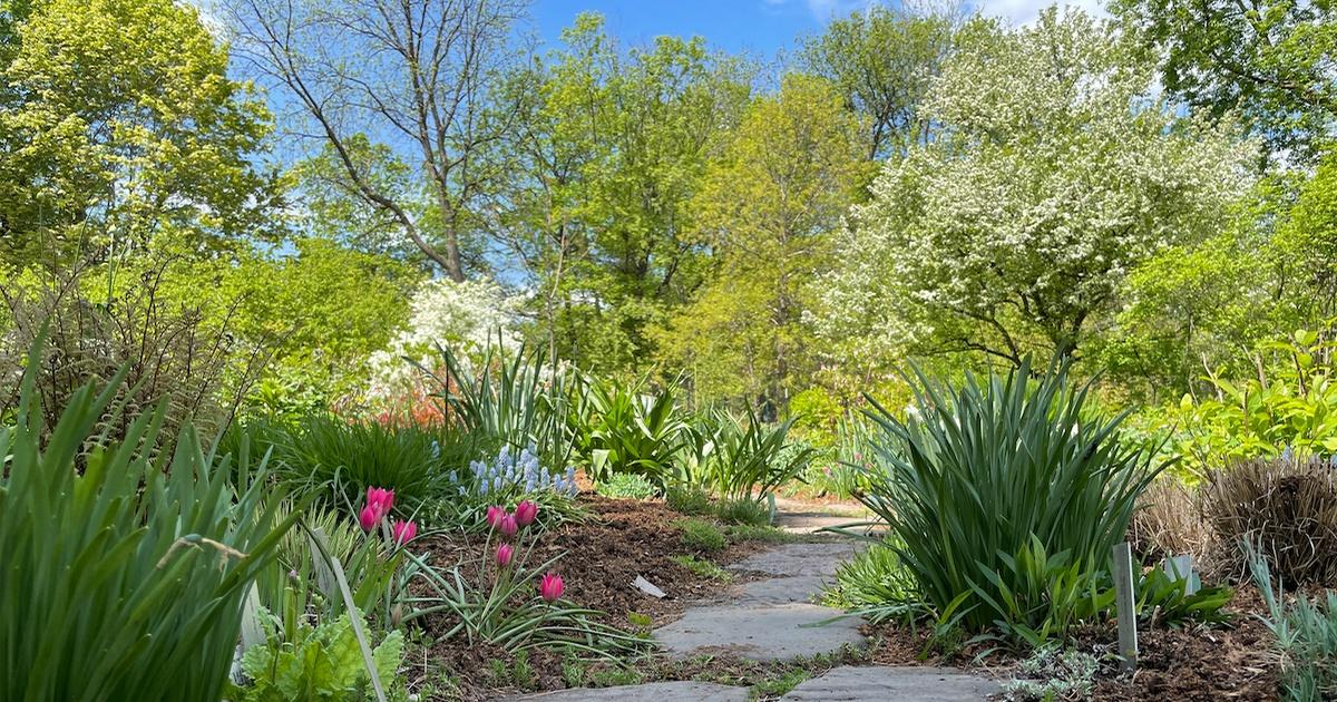 Prairie Yard & Garden | What is a Spring Ephemeral? | Season 36 ...