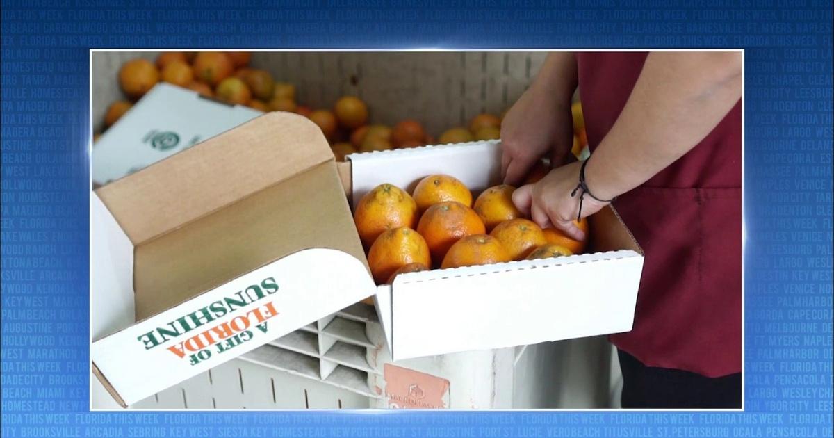 Florida This Week | Friday, January 7, 2022 | Season 2022 | Episode 1 | PBS