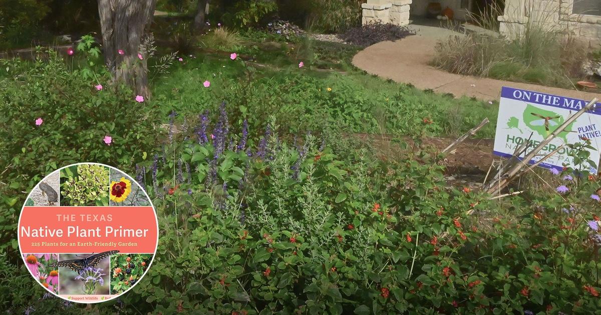 Central Texas Gardener | Plants for Earth Friendly Gardens | Season 29 ...