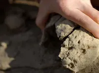 NOVA | Rise of the Mammals | Season 46 | Episode 17 | PBS