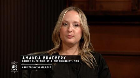 Montana PBS Livestream