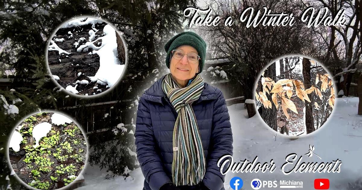 Outdoor Elements | Take a Winter Walk | PBS