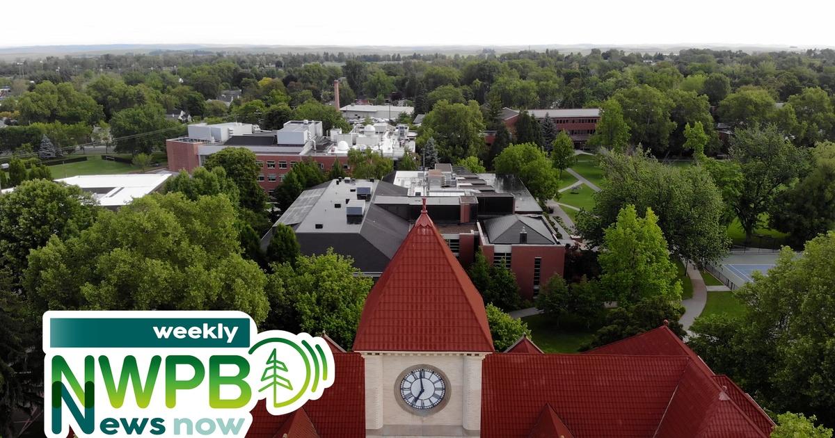 NWPB Weekly News Now | PBS