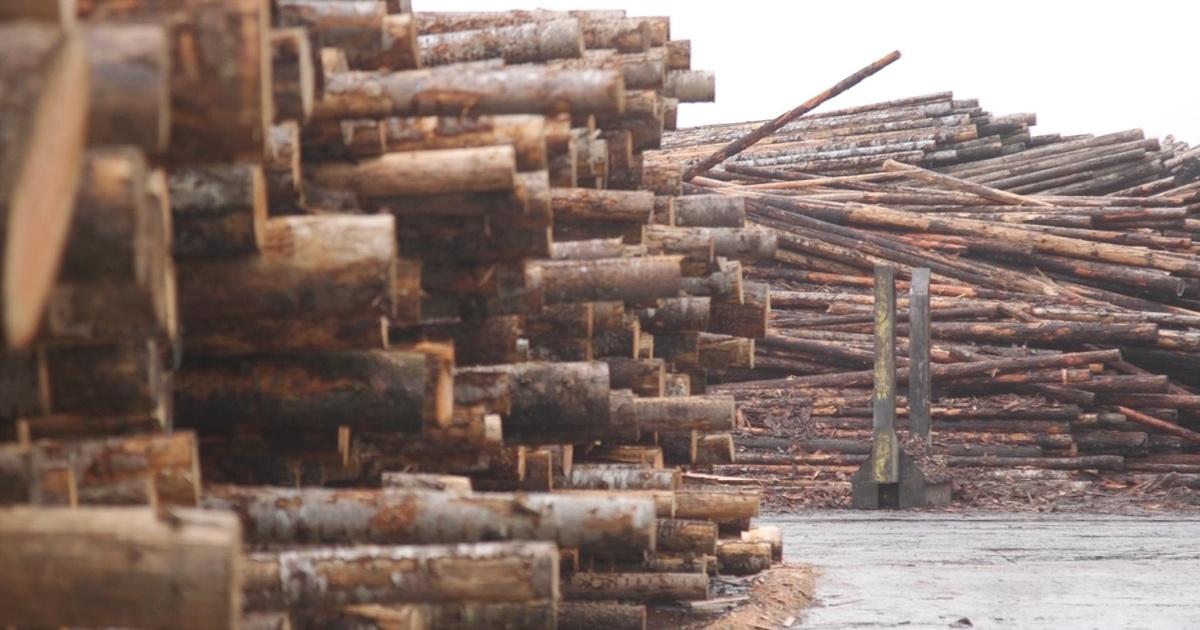 PBS News Hour | Can Oregon's timber Industry make a comeback? | Season ...