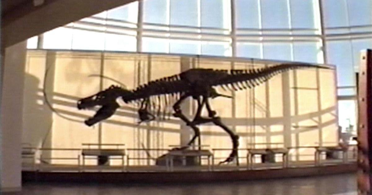 Science Trek | D4K: Building Sue, The T-Rex | THIRTEEN PBS