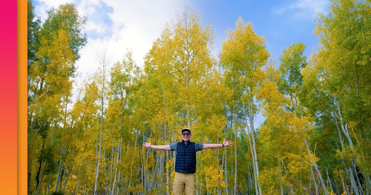 Be Smart | Inside the Largest Living Thing On Earth | Season 9 ...