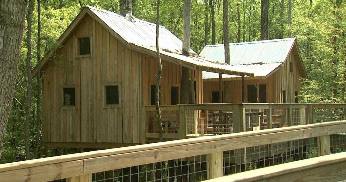 North Carolina Weekend | Treehouse Camping on the Cashie River | Season ...