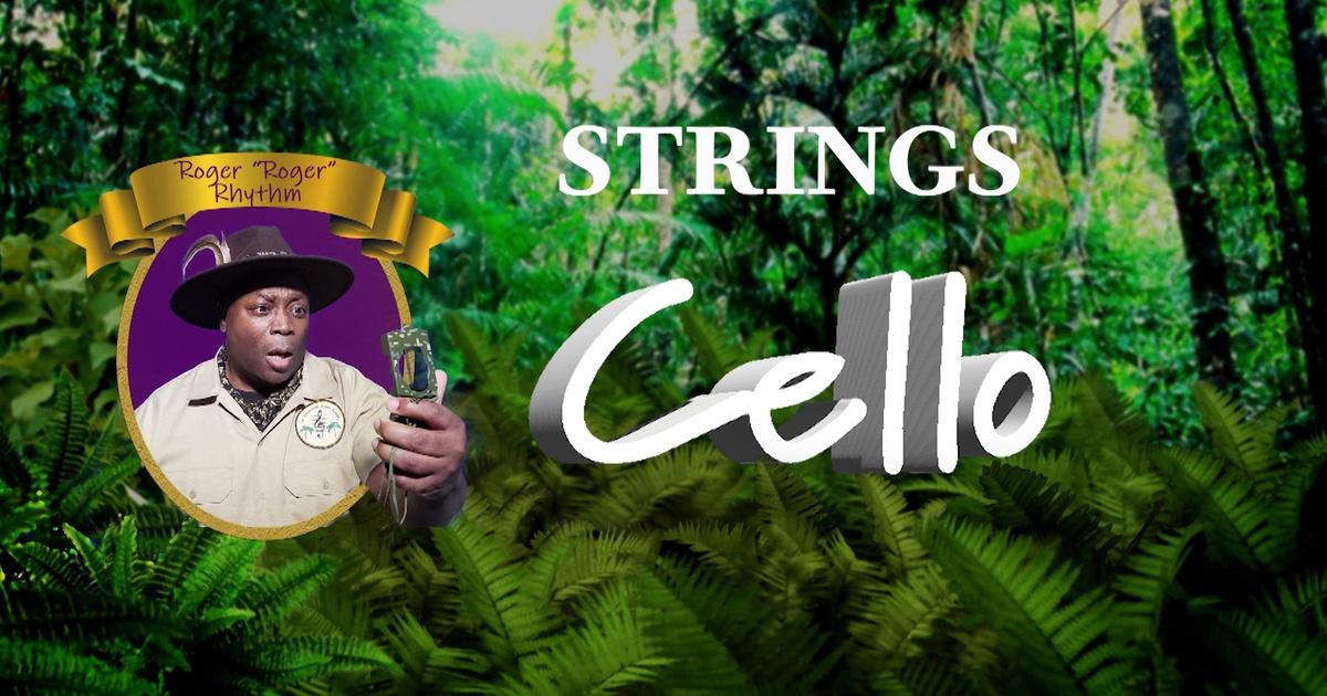 TSO Symphonic Safari Adventure! | Cello: Meet Greg, the cellist! | PBS