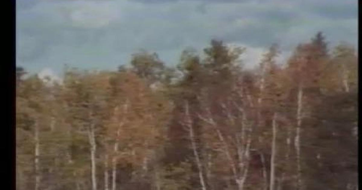 MN Landscapes | "Minnesota Landfall" Steve Christiansen | PBS