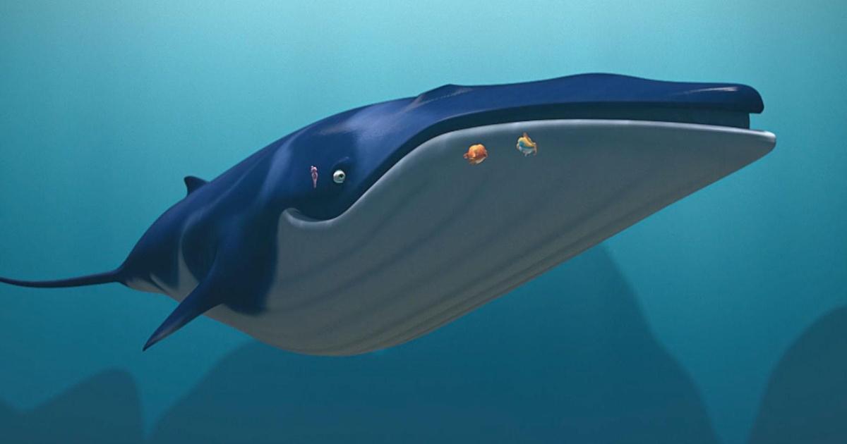 Splash and Bubbles | Ocean Friend Facts - Melody, Dunk and Wave ...