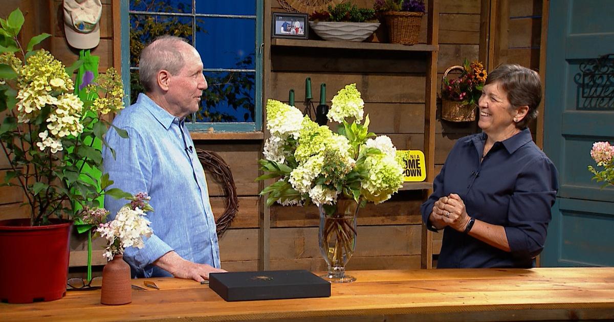 Virginia Home Grown | Hybridizing Hydrangea | Season 25 | Episode 4 | PBS