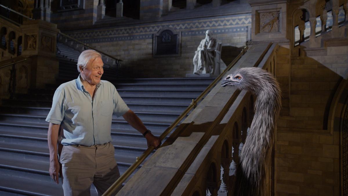 Preview of Museum Alive with David Attenborough | Nature | THIRTEEN ...
