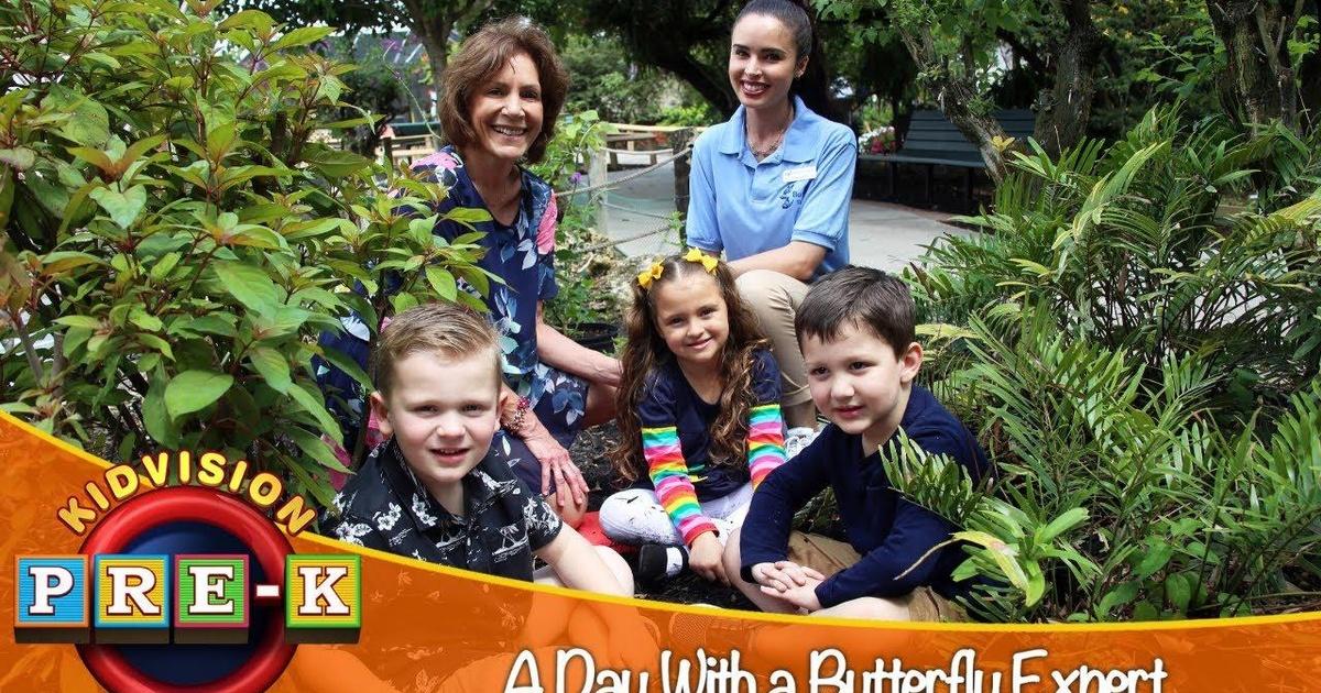 KidVision Pre-K | A Day With a Butterfly Expert | Virtual Field Trip ...