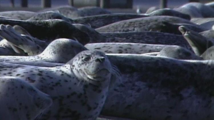 Oregon Field Guide | Watch Online | OPB Video