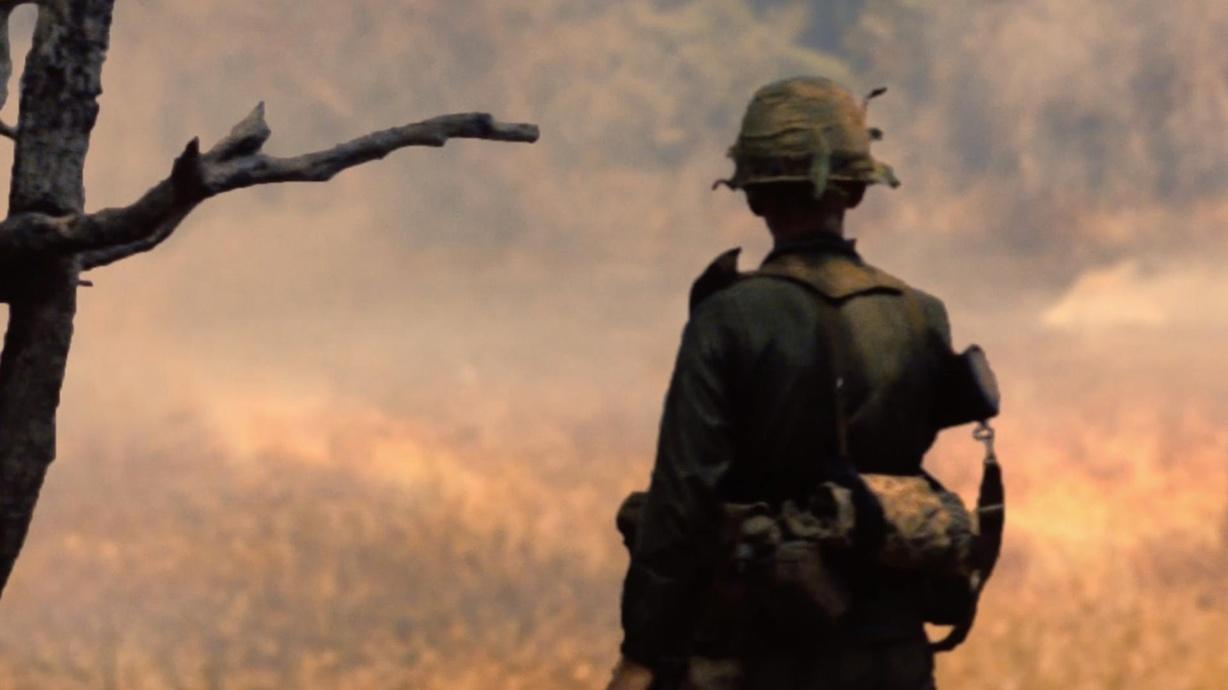 You and I Are Disappearing, by Yusef Komunyakaa | Watch on PBS Wisconsin