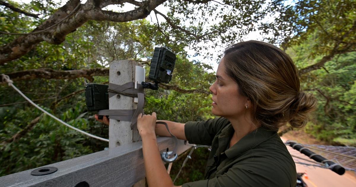 Nature | Road Warriors | WILD HOPE | PBS