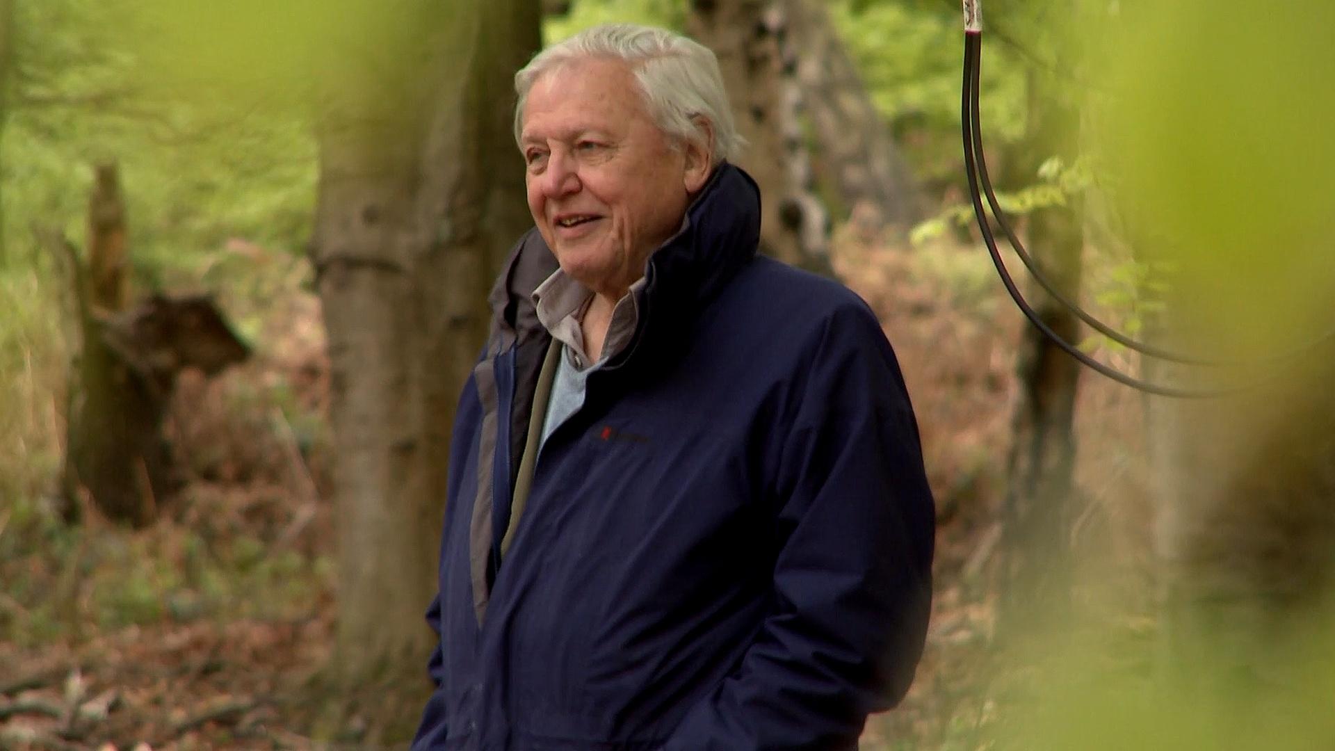 How Sir David Attenborough Got His Start | Nature | THIRTEEN - New York Public Media