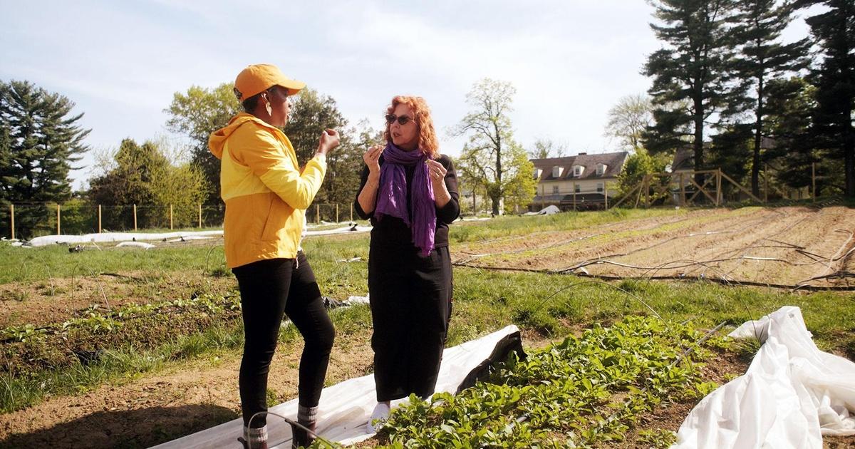 Christina Cooks: Back to the Cutting Board | Eating Locally | Season 5 ...
