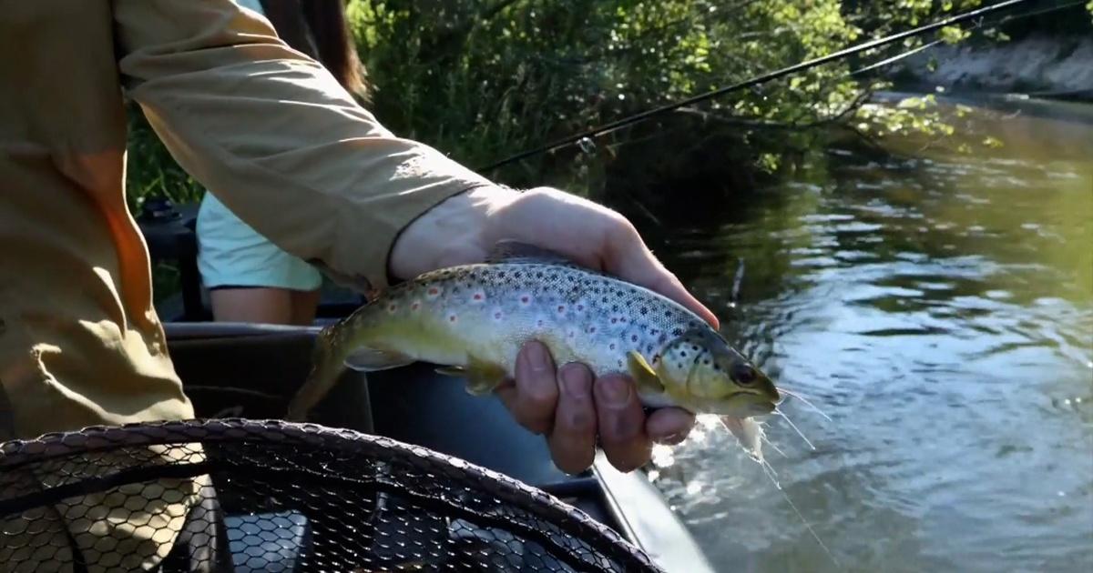 Michigan Out-of-Doors | Trout Fishing, Flathead Fishing | Season 24 ...