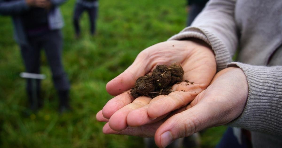 Made Here | Soul of the Soil | Season 16 | Episode 4 | PBS