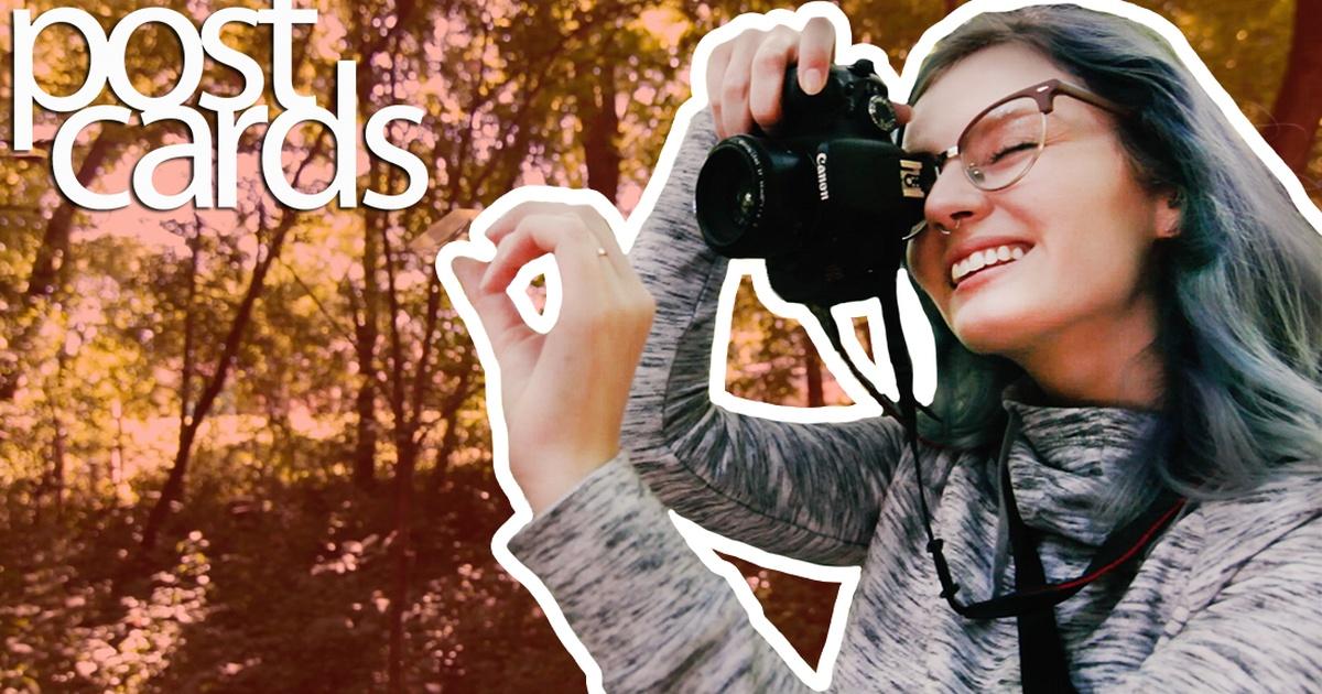 Postcards | Stained Glass Art, Photographer, At Home with Monsters ...