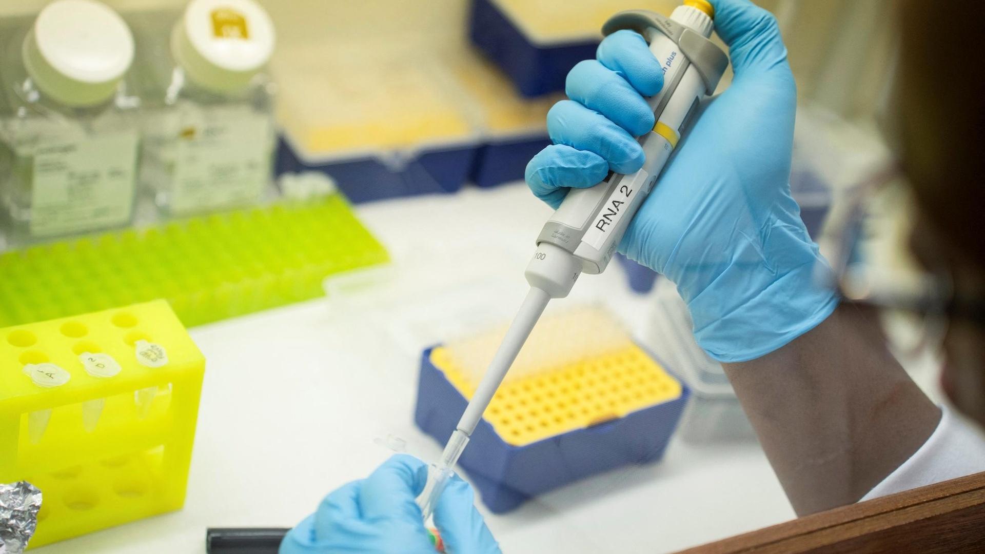 Scientists sound alarm on Trump's research funding cuts | PBS News Hour ...