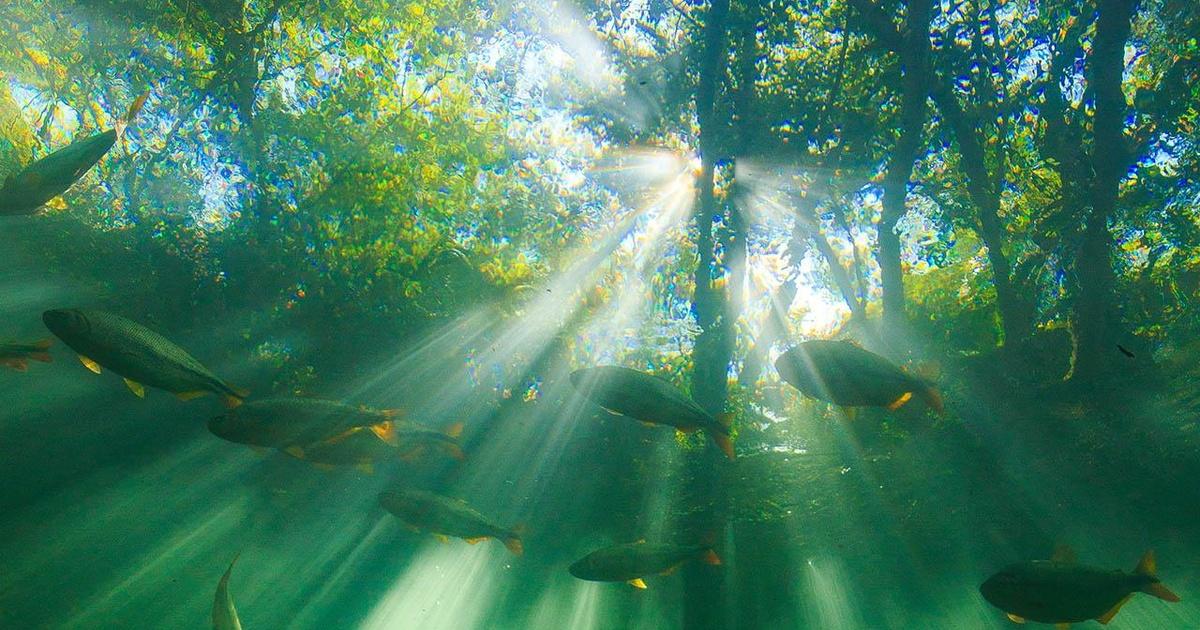 Arizona PBS Previews | H2O: The Molecule that Made Us : 101 | PBS