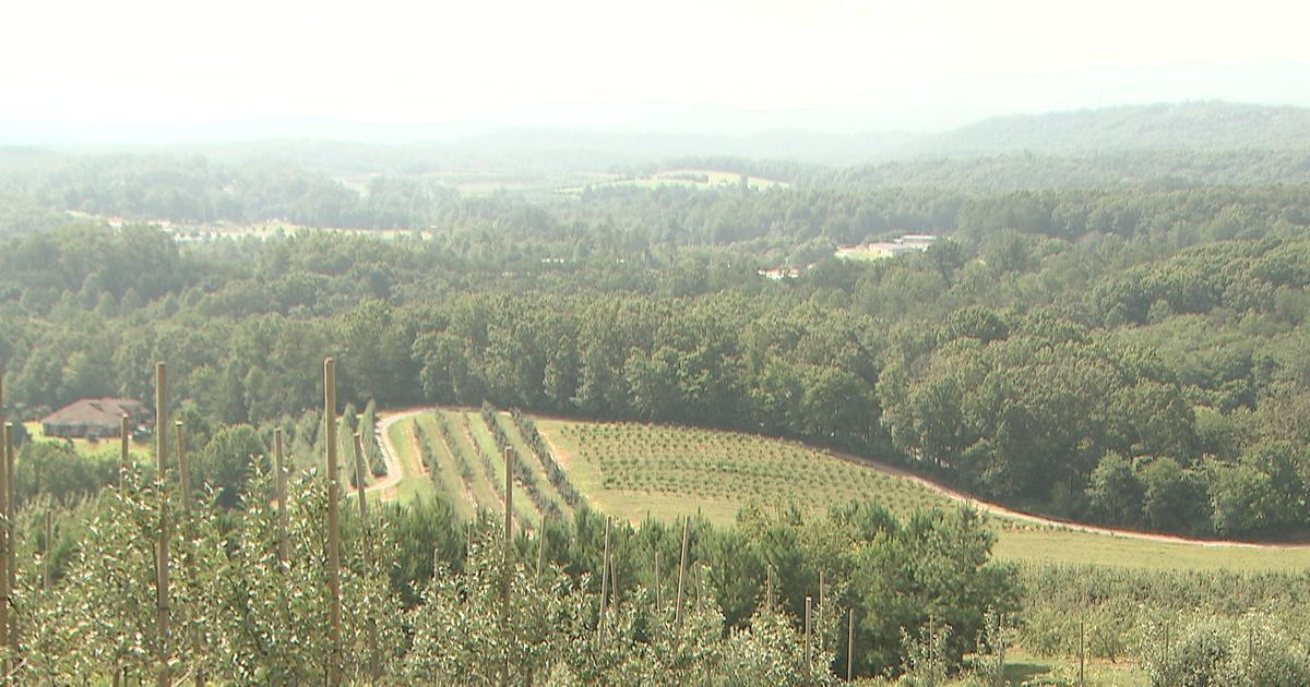 Hometown Georgia | Blue Ridge | Season 1 | Episode 104 | PBS