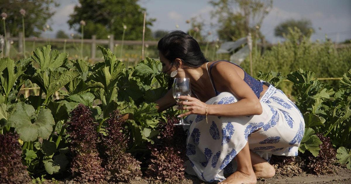 Wine First | Wine Valleys and Highlands, Chile | Season 2 | Episode 207 ...