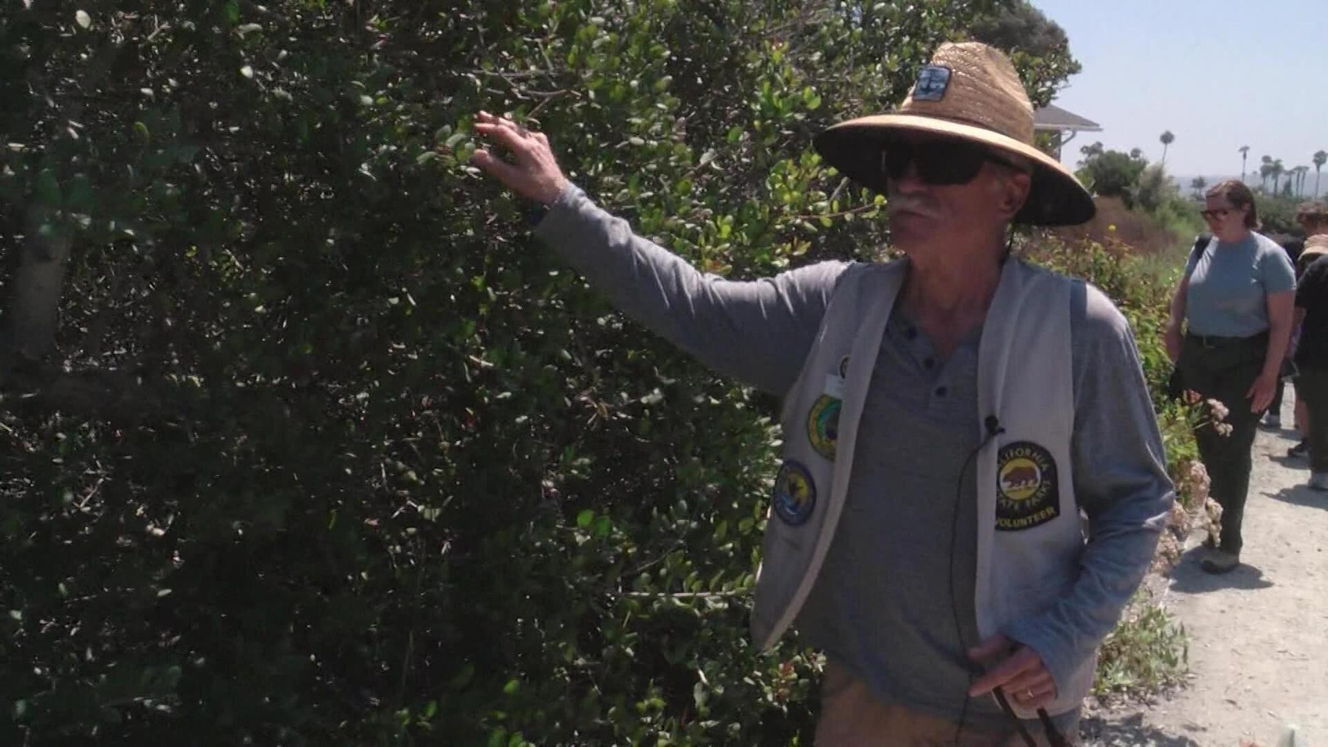 After losing sight, scientist creates unique nature walk | PBS News ...