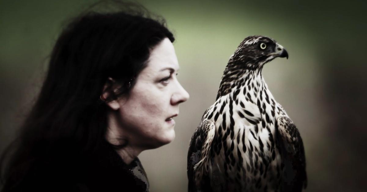 Nature | Author Helen Macdonald on "H is for Hawk" | Season 36 ...