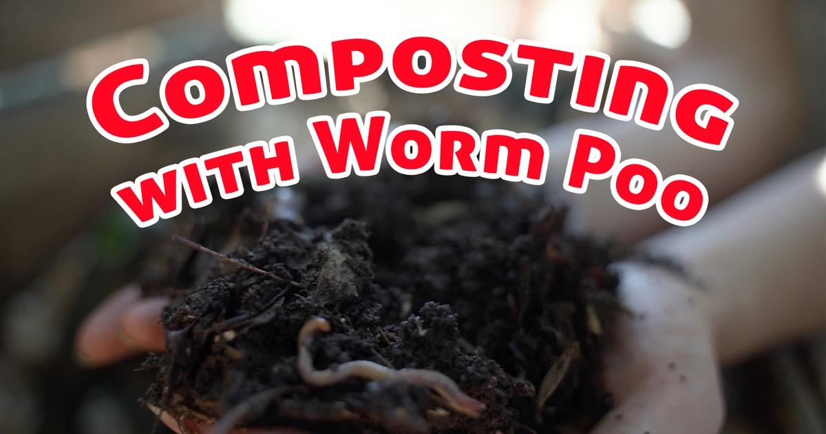 Farmer Dave and Friends | Composting with Worm Poo | PBS