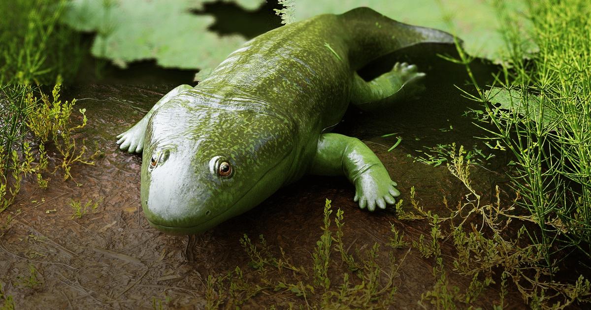 Eons | Why We Only Have Ten Toes (It's a Long Story) | Season 4 ...