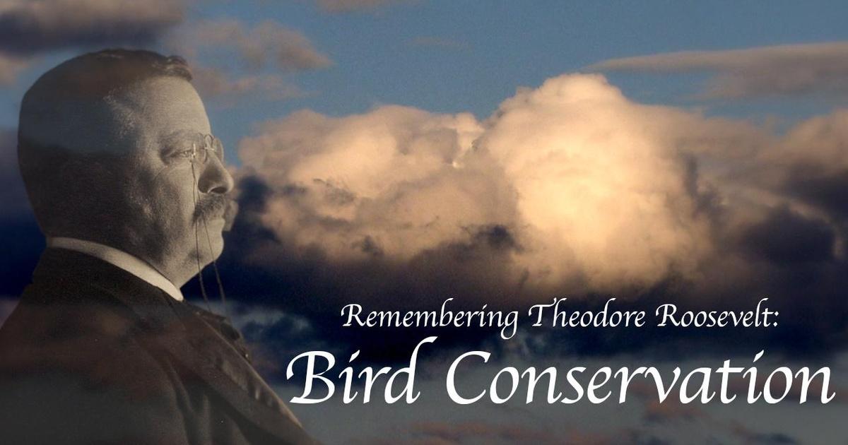 Prairie Public Shorts | Remembering Theodore Roosevelt: Bird ...