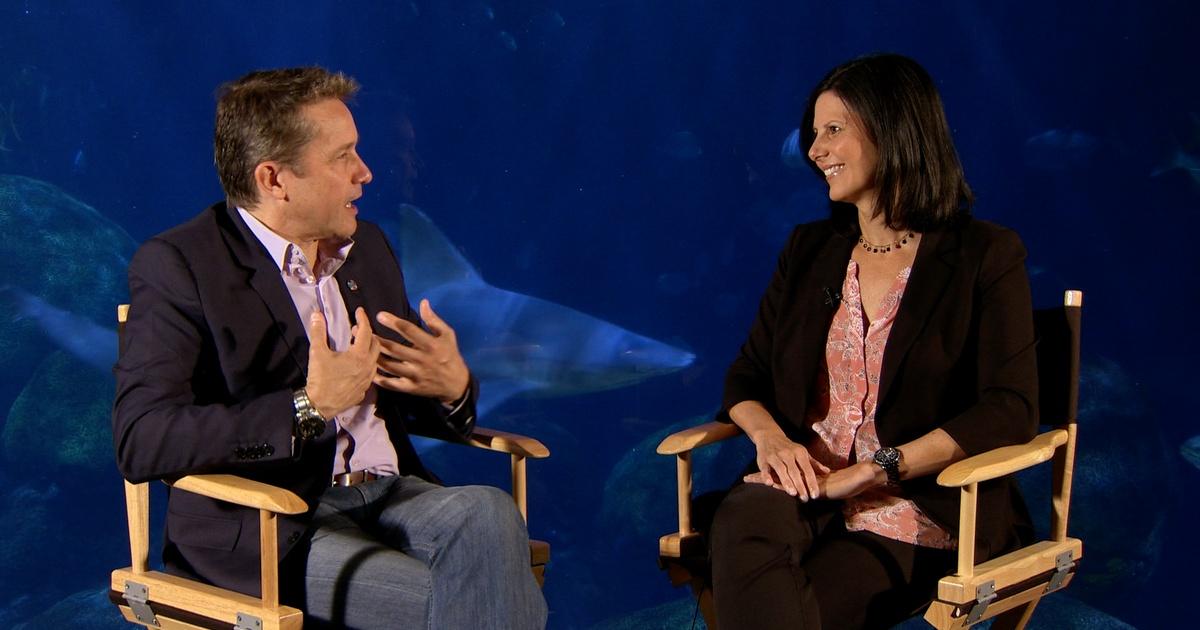 The A List With Alison Lebovitz | Season 10 | Episode 1001: Fabien ...