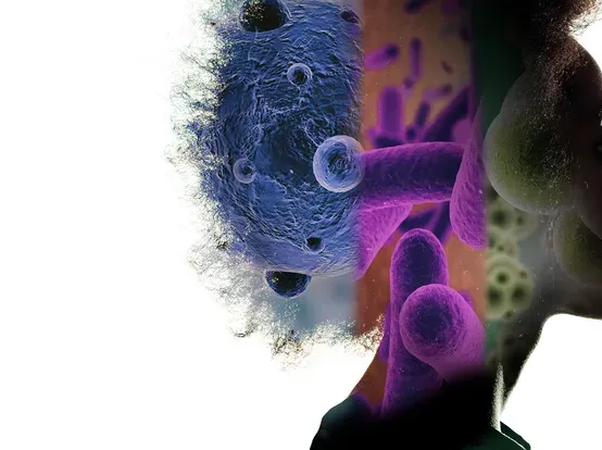 NOVA | Edible Insects | Season 48 | Episode 14 | PBS