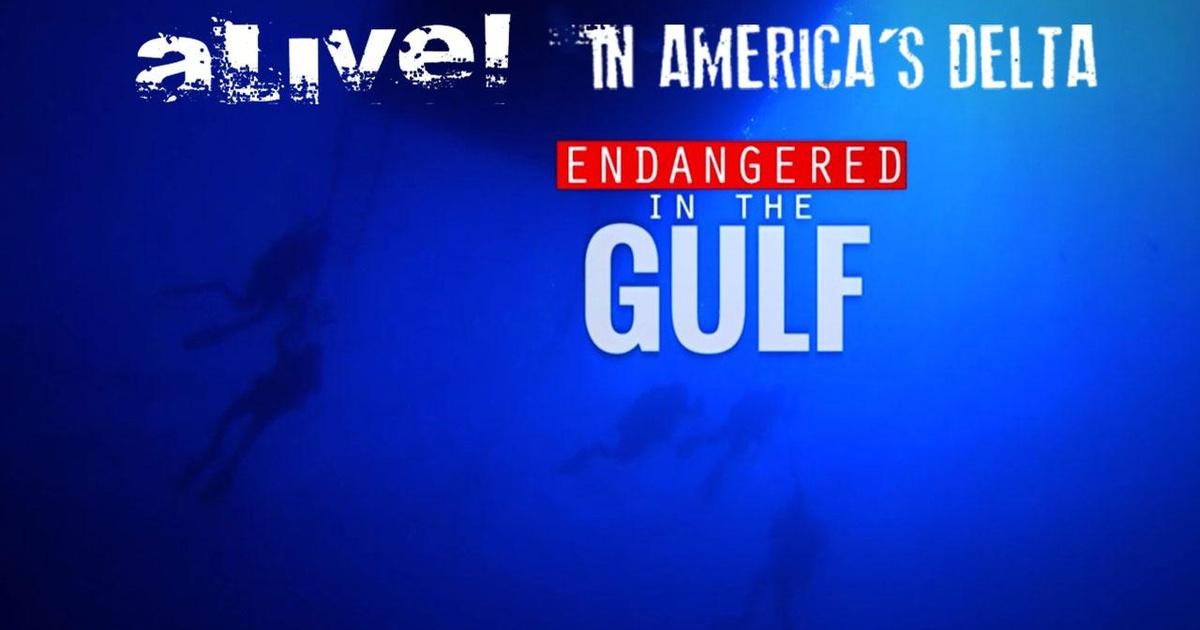 Alive! In America's Delta | Endangered in the Gulf | PBS