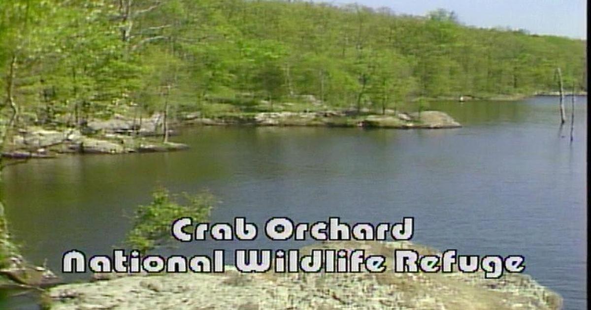 NatureScene | Crab Orchard National Wildlife Refuge (1991) | Season 2 ...