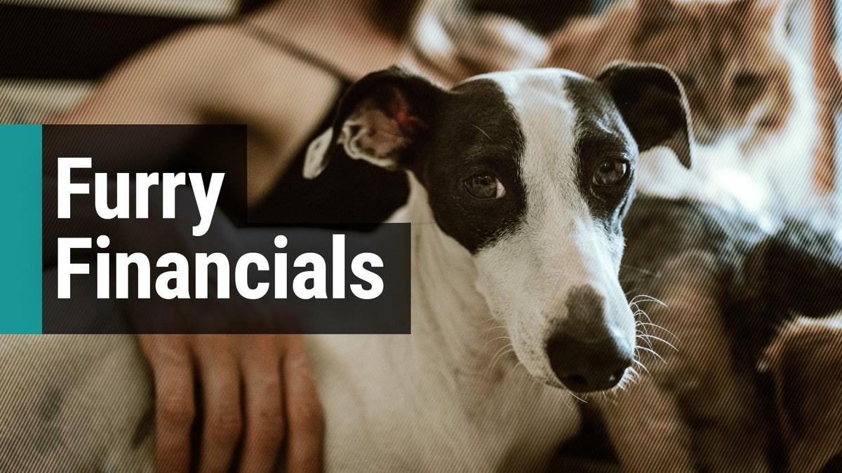 The business behind your pets | NJ Biz Beat with Raven Santana ... The business behind your pets | NJ Biz Beat with Raven Santana ...