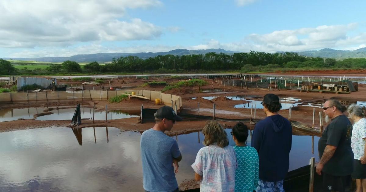 Family Ingredients | Kaua’i Pa’akai (Salt) Genealogy | Season 3 ...