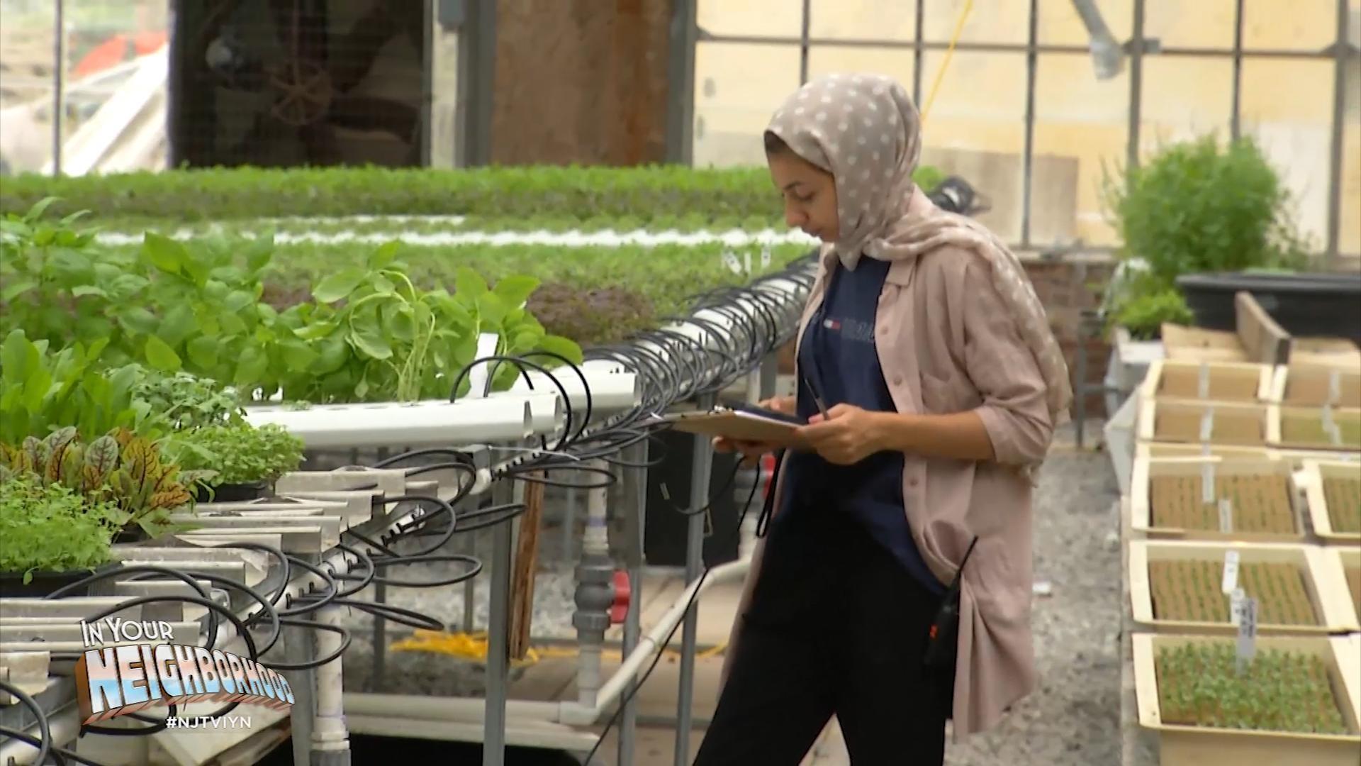 Generation of farmers use alternative growing techniques | In Your ...