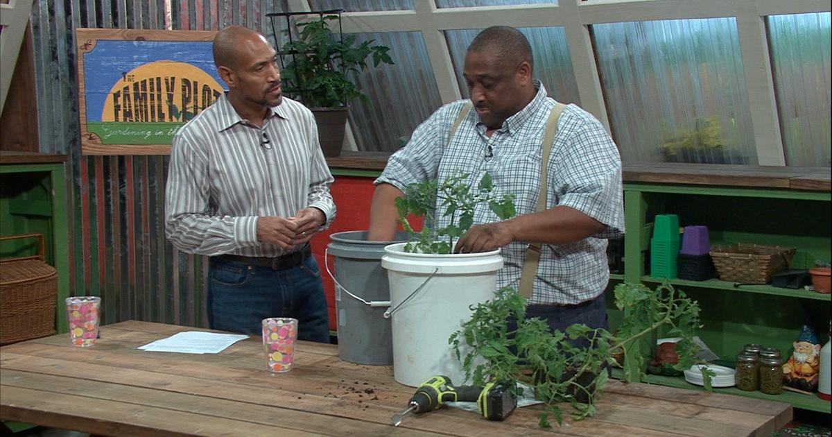The Family Plot | Bucket Gardening & Herbs | Season 10 | Episode 11 | PBS